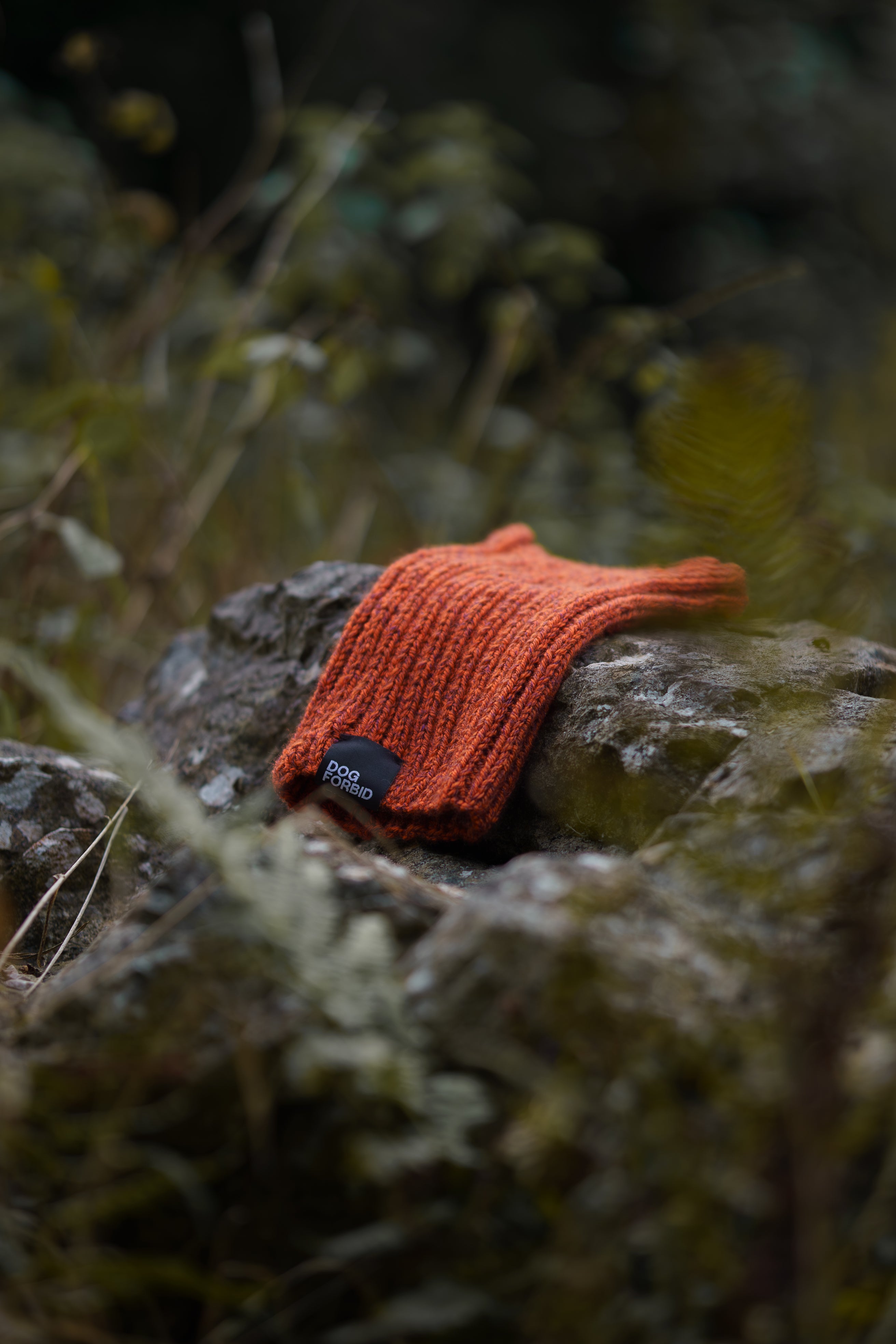 Dog Forbid, Authentic Dog Gear, Crafted with Care, Worn Without.