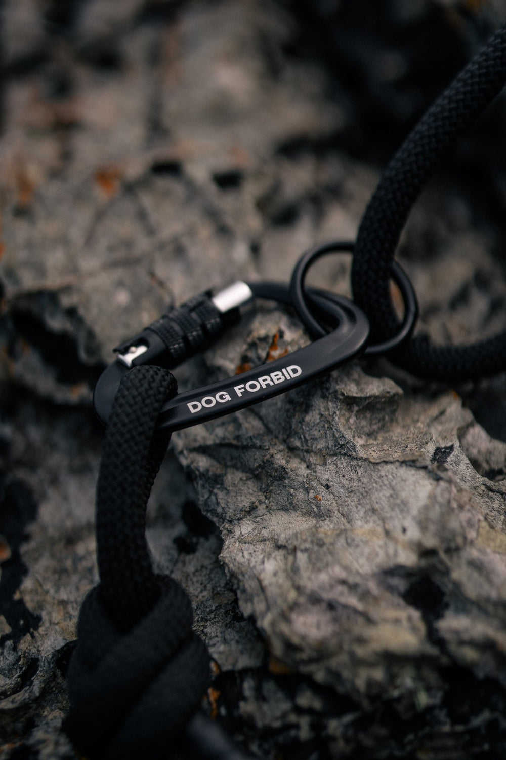 Dog Forbid, Authentic Dog Gear, Crafted with Care, Worn Without.